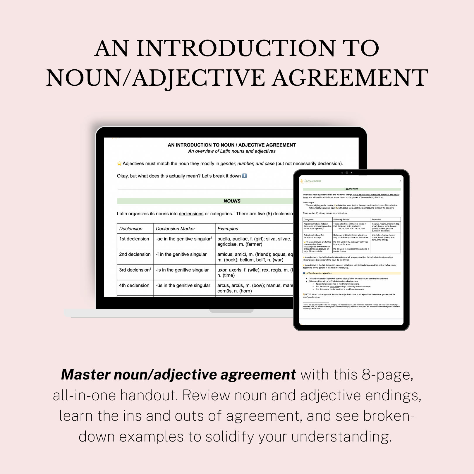 Your Guide to Latin Noun/Adjective Agreement – Olivia's Learning Corner