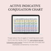 Latin Active Indicative Conjugation Chart – Olivia's Learning Corner